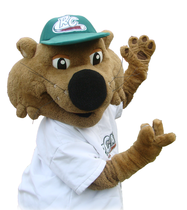 Crown Point Community Library - rusty 4